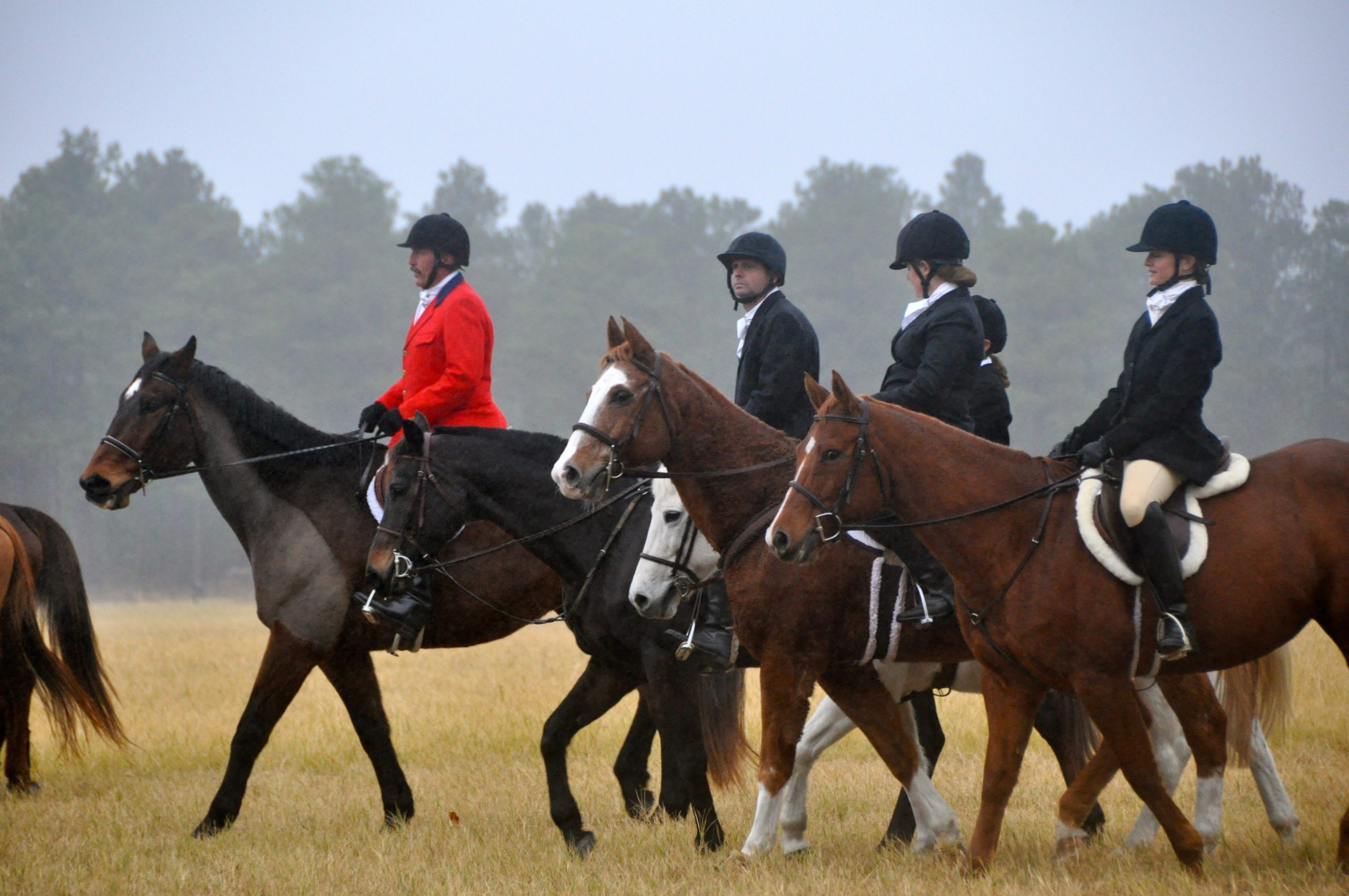 Discovering Horse Country | SouthernPines.com For Sale